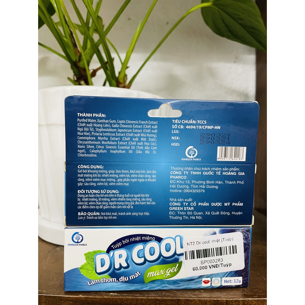 Gel nhiệt miệng DR Cool 12g - Dùng cho người bị nhiệt miệng, viêm răng lợi, nhiễm khuẩn răng ...