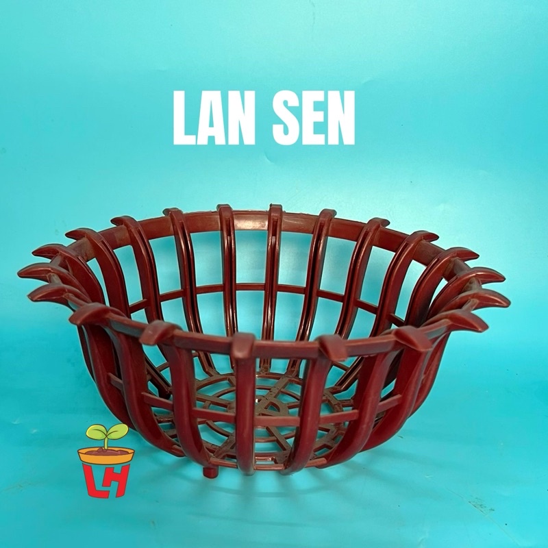 Chậu nhựa lan sen - Lan dấu hỏi giả gỗ, kích thước phủ bì | Shopee Việt Nam