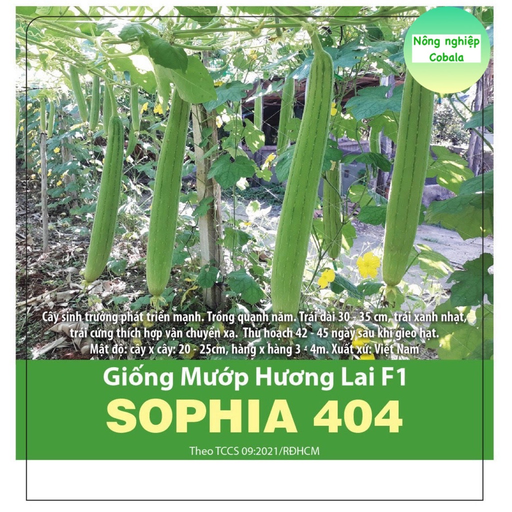 Hạt Giống Mướp Hương Lai F1 (SOPHIA404) 1gr | Shopee Việt Nam