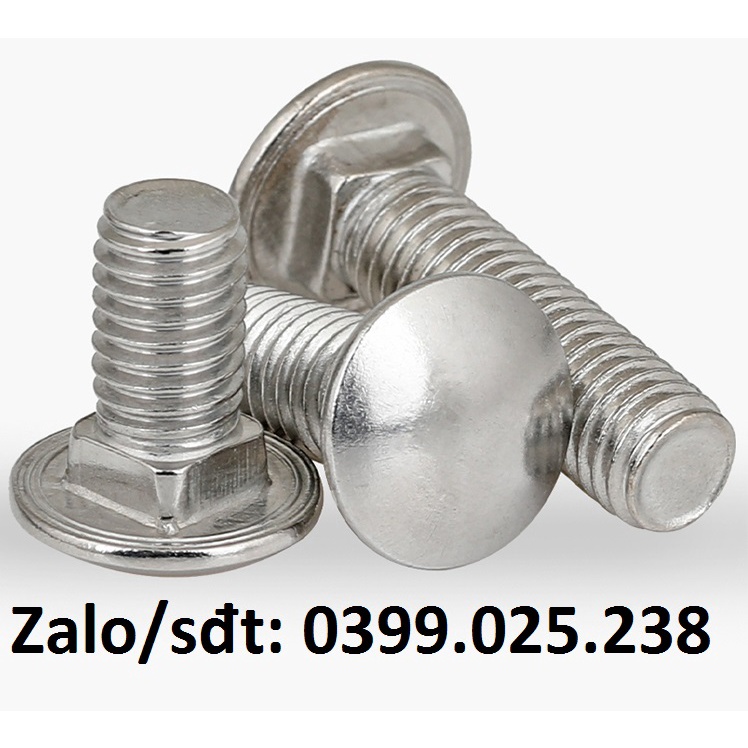 Combo 10 con Bu lông đầu tròn cổ vuông inox M6 M8 bulong | Shopee Việt Nam