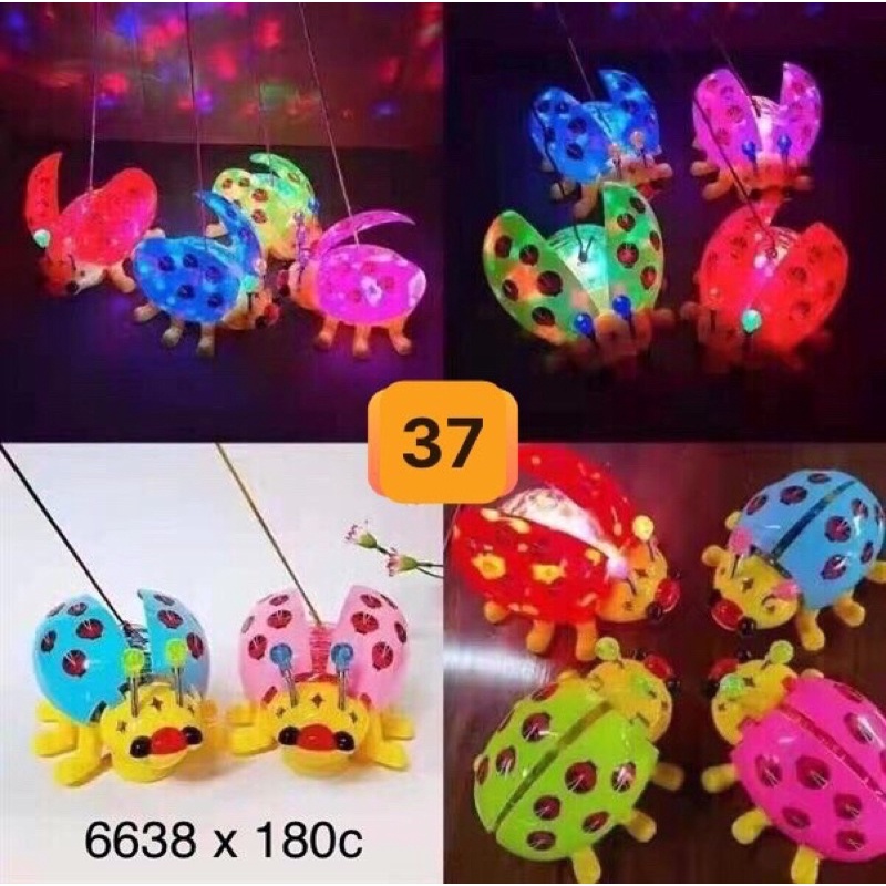 con boj bin sáng | Shopee Việt Nam