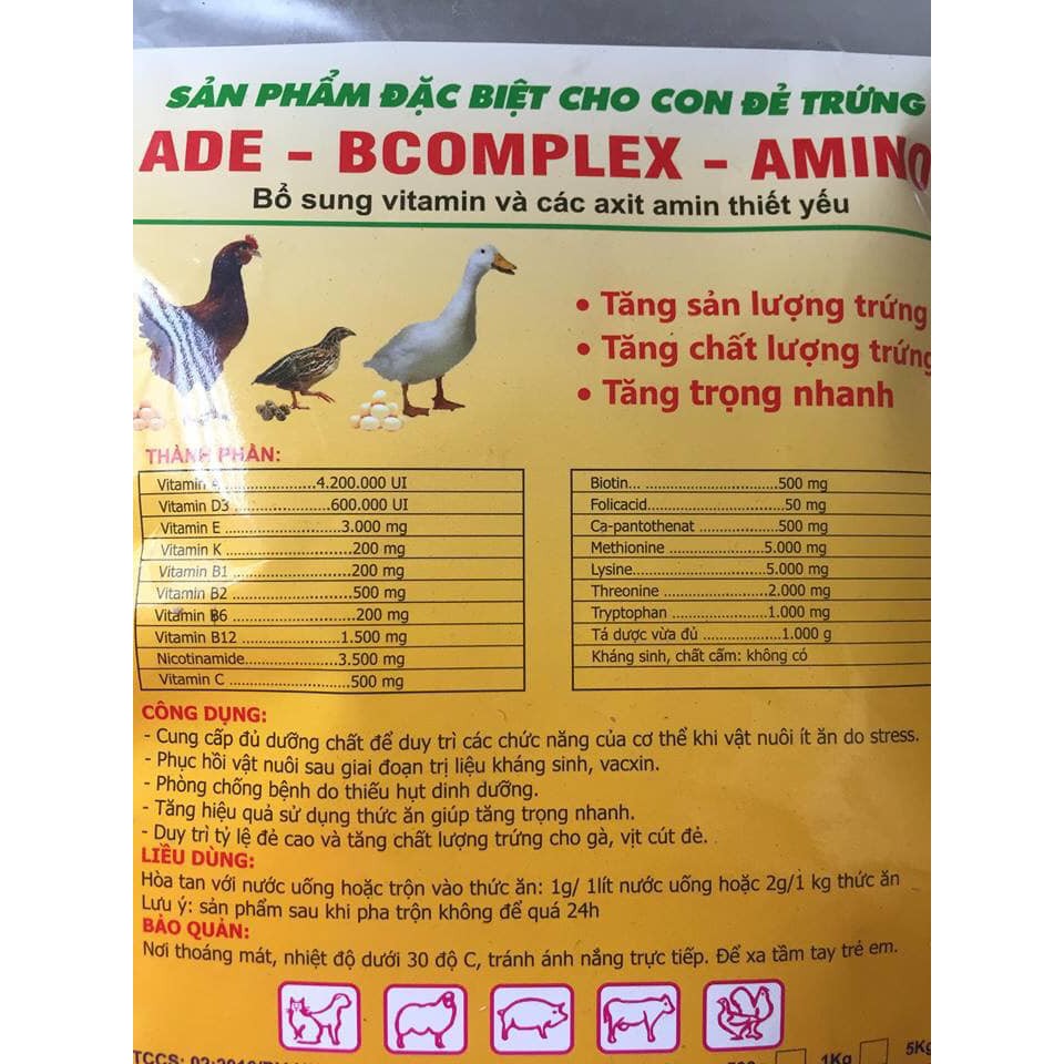 ADE B.Complex – Amino amin cung cấp đạm, khoáng, vitamin đầy đủ cho gia ...