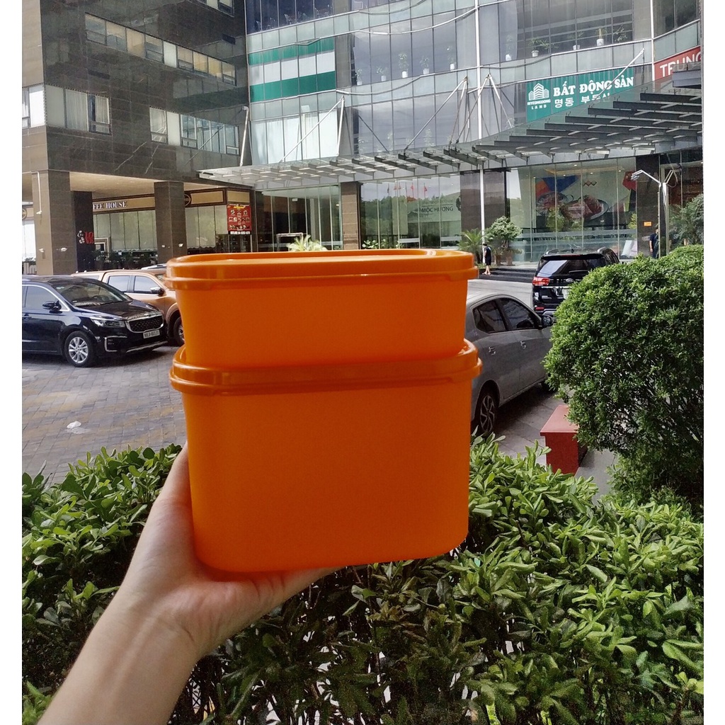 Bộ Hộp Colorful Rectangular 2 Hộp Tupperware | Shopee Việt Nam
