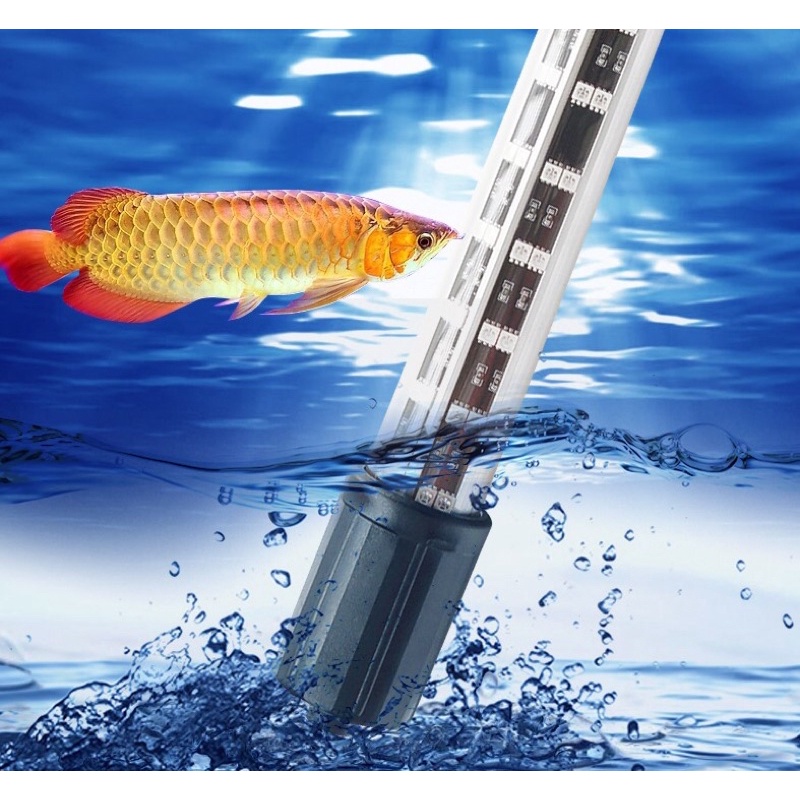 Bóng đèn Led 4 Hàng Bóng MàuVàng cho Hồ Cá Xuan Mei Long 60cm. Phụ Kiện ...