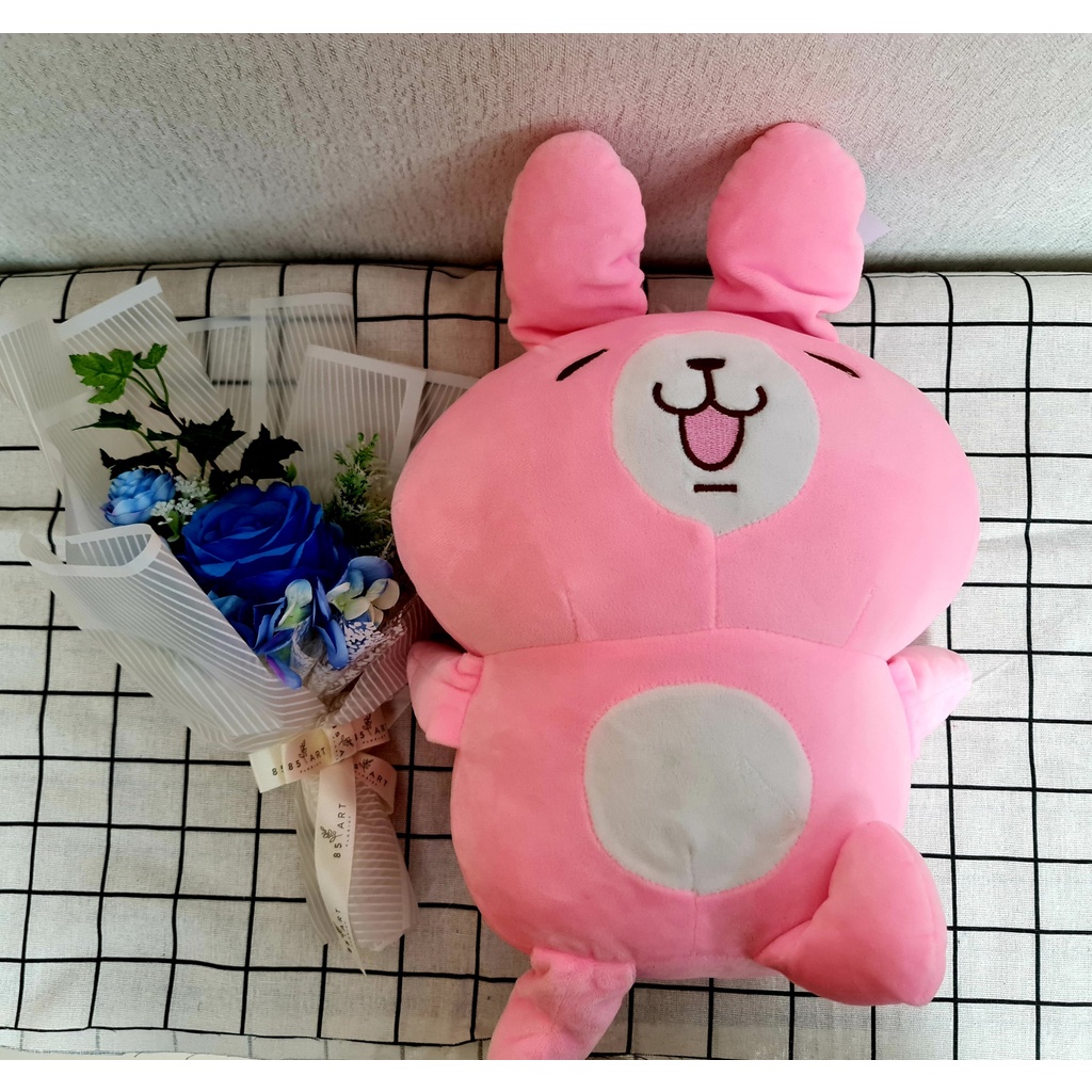 Gấu bông Kanahei thỏ Usagi và bạn gà Piske nhiều mẫu lông xù 15-40cm ...