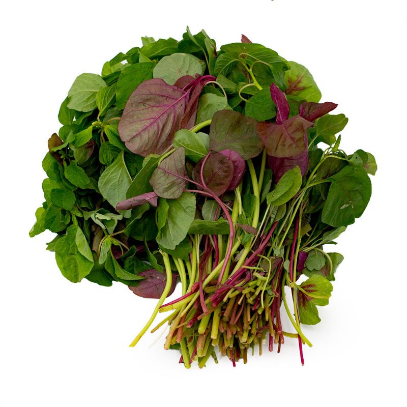 Rau Rền Tươi (1 mớ khoảng 500gram) | Shopee Việt Nam