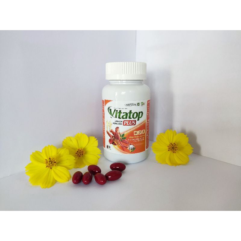 Vitatop Plus - Viên uống bổ sung Vitamin Tăng Cường Sức Khỏe, Giảm Mệt ...