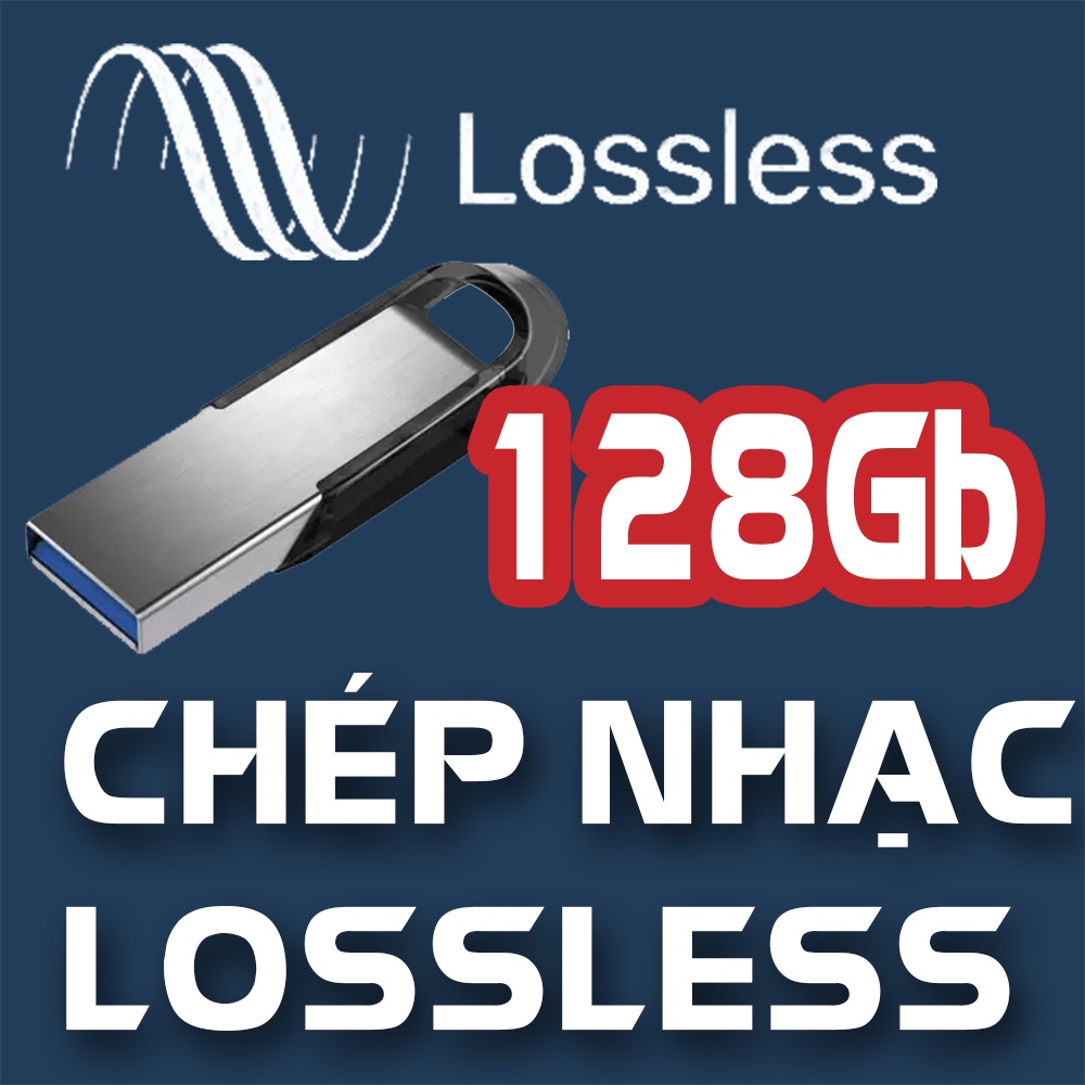 Chép nhạc chất lượng cao (nhạc lossless) - Bán kèm thiết bị lưu trữ USB | Shopee Việt Nam