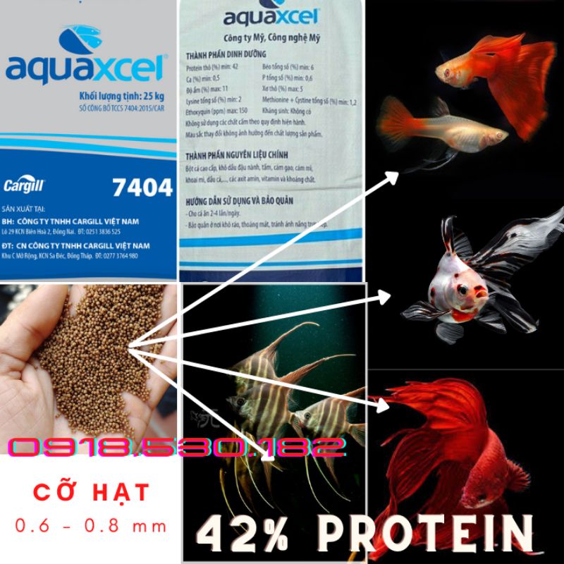 1Kg cám cá Cargill Aquaxcel 7404 hạt 0.6mm 42% đạm | Shopee Việt Nam