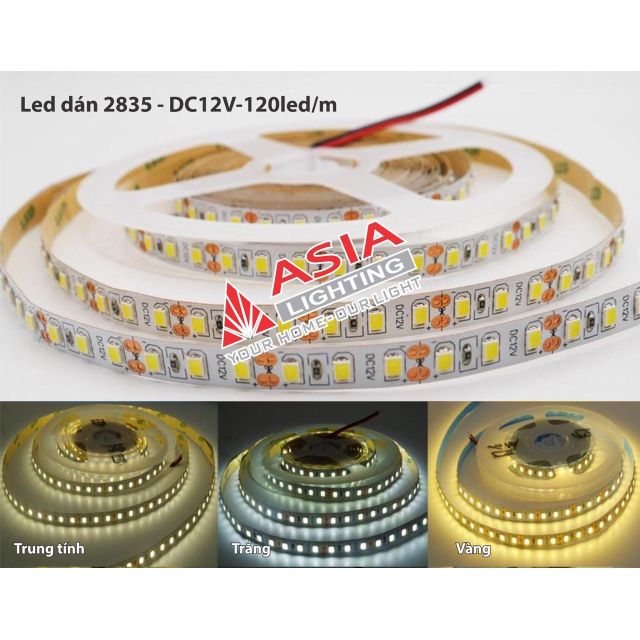 LED Dán 2835-DC -12v ,120 chip led/m, 1 cuộn 5 mét, ASIA LIGHTING( bảo hành 12 tháng | Shopee ...
