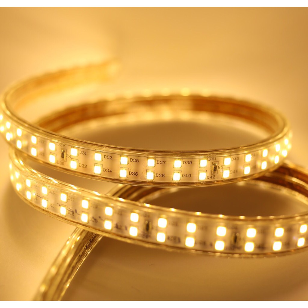 combo 40m đèn led dây 2835 bọc nhựa cao cấp - Đèn led trang trí ngày lễ ...
