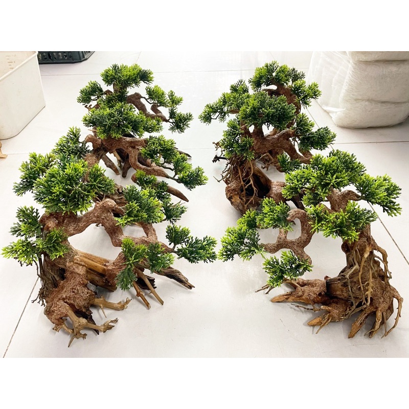 Cây bonsai trang trí hồ cá , trang trí bể cá | Shopee Việt Nam