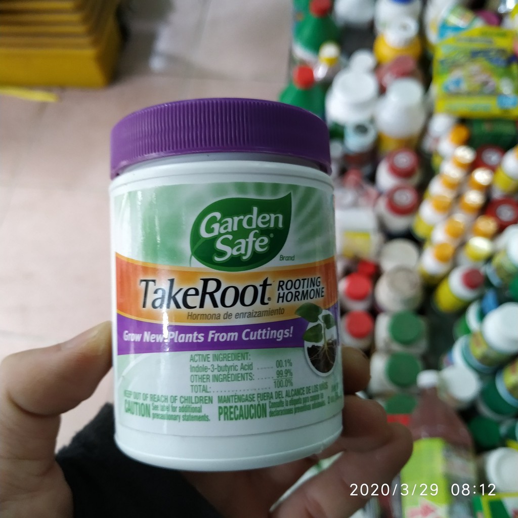Siêu kích rễ Takeroot lọ 56.6g nhập khẩu từ Mỹ | Shopee Việt Nam