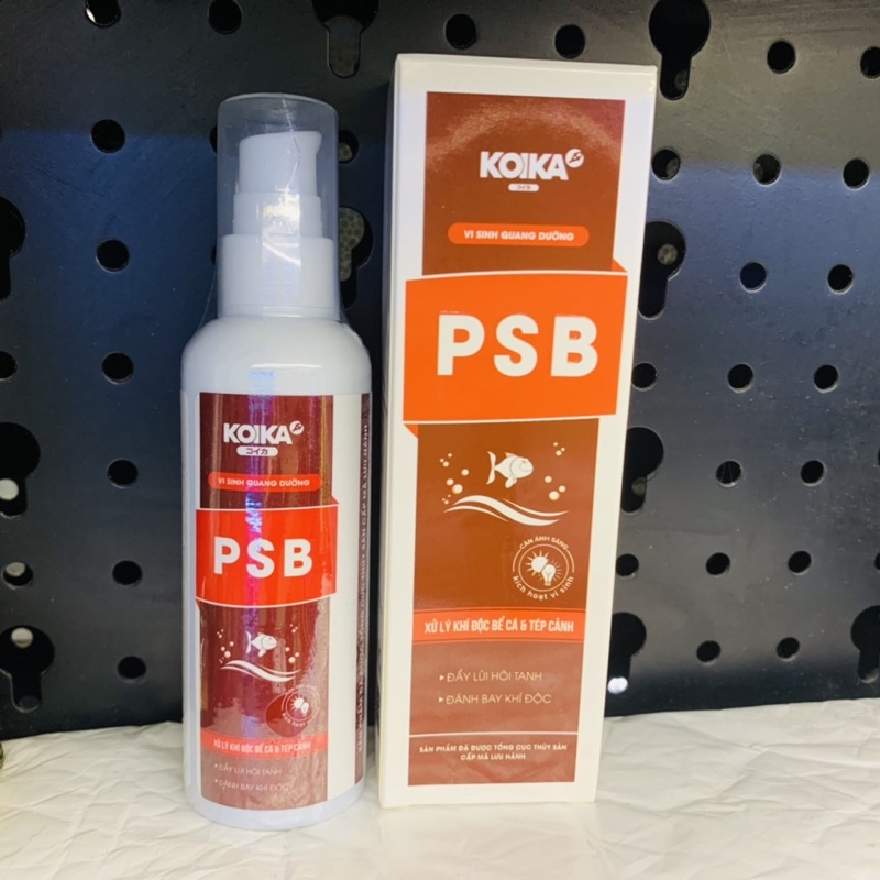 Vi sinh trong nước PSB KOIKA 100ml | Shopee Việt Nam
