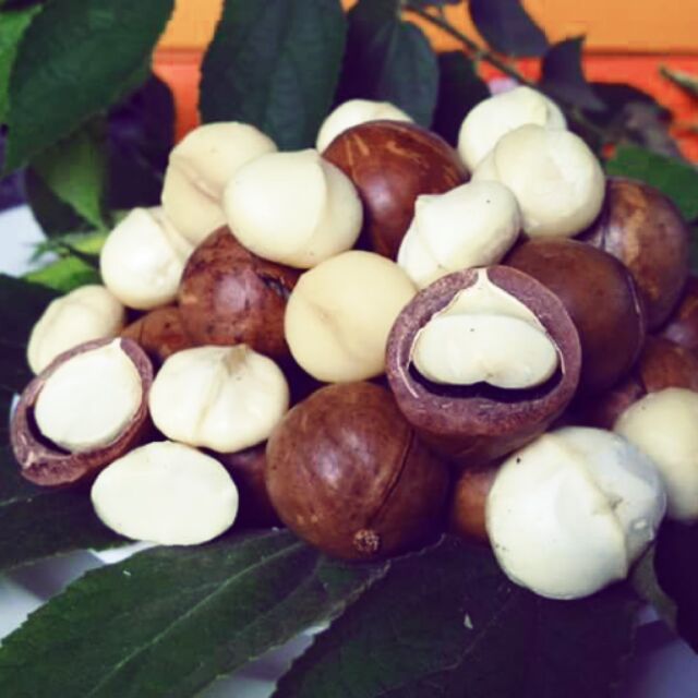 Macca việt nam | Shopee Việt Nam