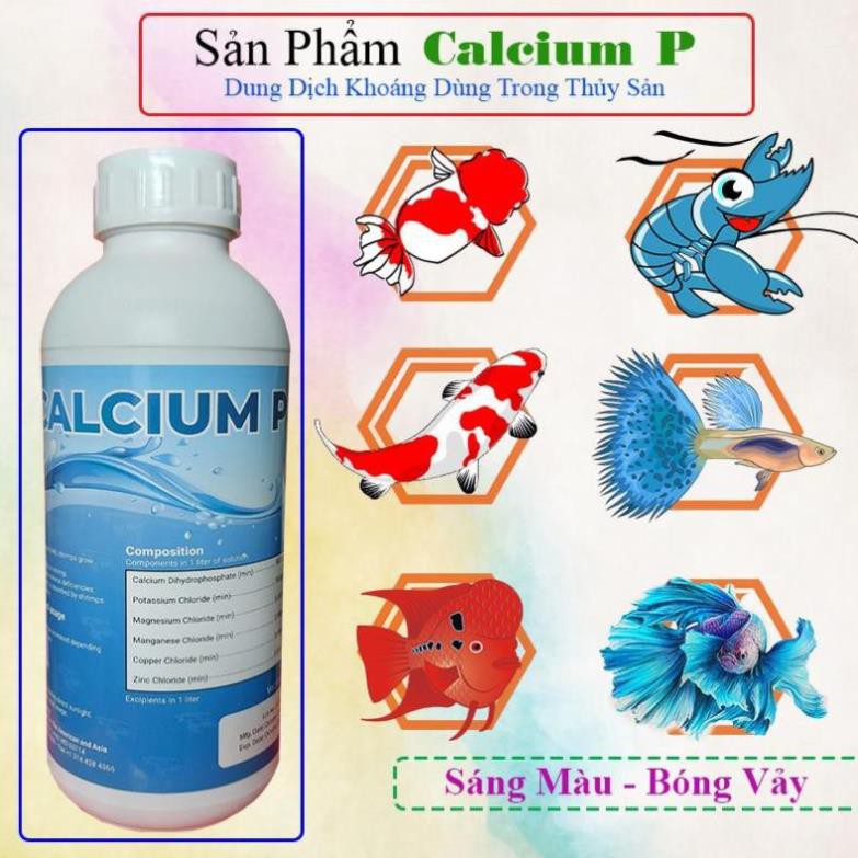 Khoáng Dinh Dưỡng Cho Cá Cảnh,Tép Cảnh Cứng Vỏ, Lên Màu Bóng Vảy - Calcium P Chai 1L | Shopee ...