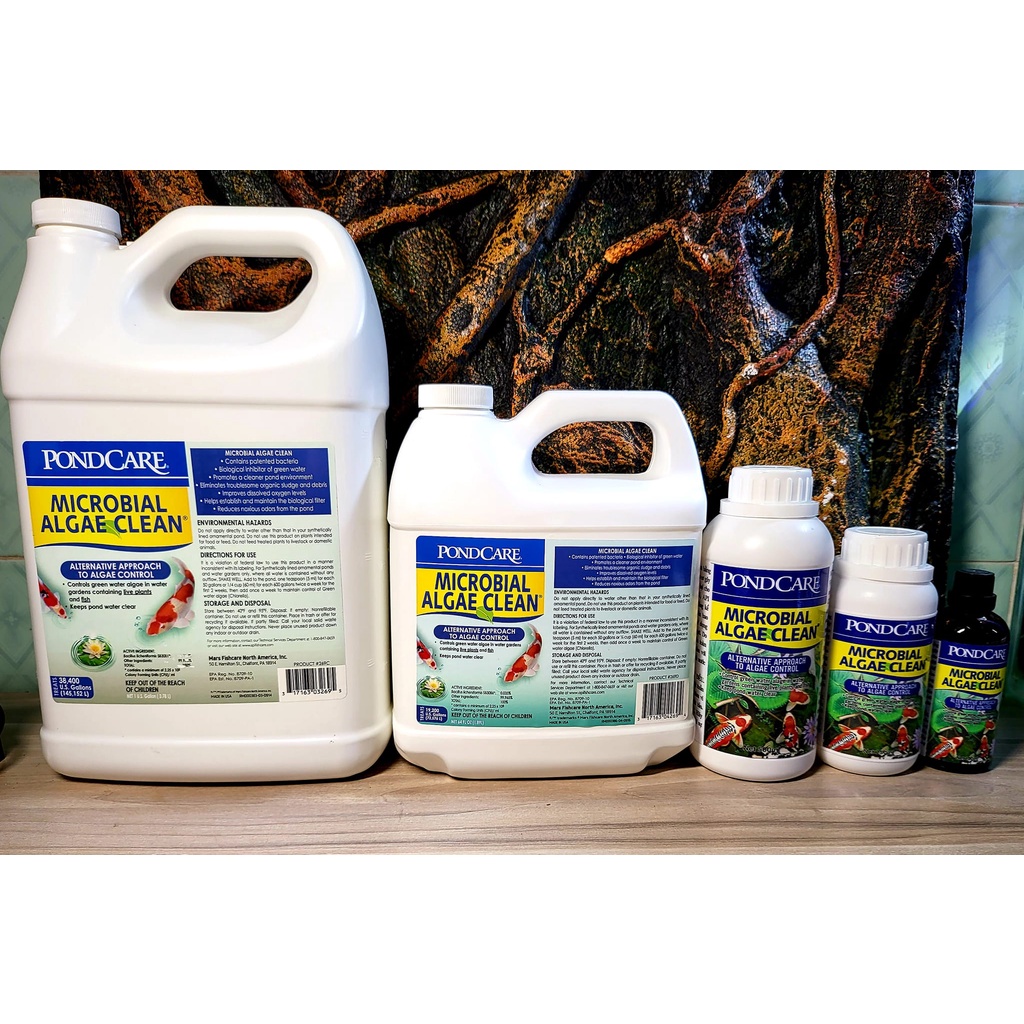 API - Microbial Algae Clean - Vi sinh ăn rêu tảo SỐNG và phân hủy mùn ...