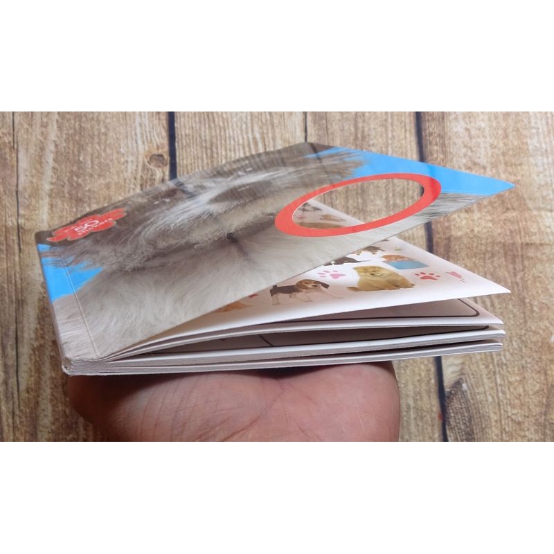 Thú Cưng Mini Col Stick Shopee Việt Nam