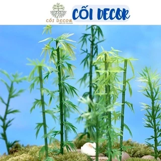 cây trúc cảnh mini giá tốt Tháng 7, 2024 | Mua ngay | Shopee Việt Nam