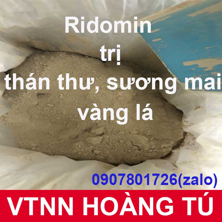 Thuốc trừ bệnh Ridomil Gold 68WP – Thuốc đặc trị nấm bệnh - 1kg ...