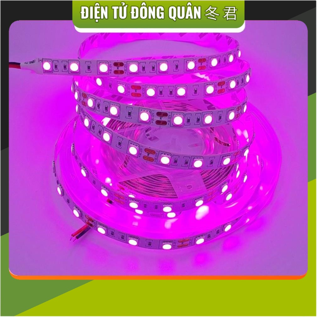 [HCM] Led dây 5050 12V loại 1 mét 60 bóng không phủ epoxy màu xanh ...