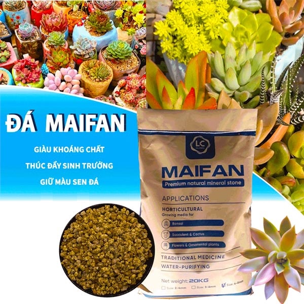 Đá khoáng trồng cây Maifan (Masato) triết lẻ trồng cây bonsai, giữ màu sen đá, xương rồng và các ...