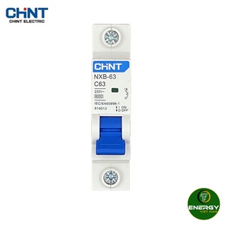 Áp tô mát 2P Chint AC - Aptomat CHINT NXB-63 2P Chint AC 6A, 10A, 16A, 20A, 25A, 32A, 40A, 50A ...