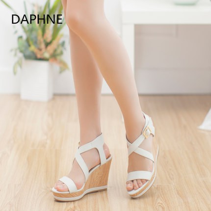 Daphne - Giá Tốt, Sale Tháng 06, Freeship 0Đ | Shopee Việt Nam