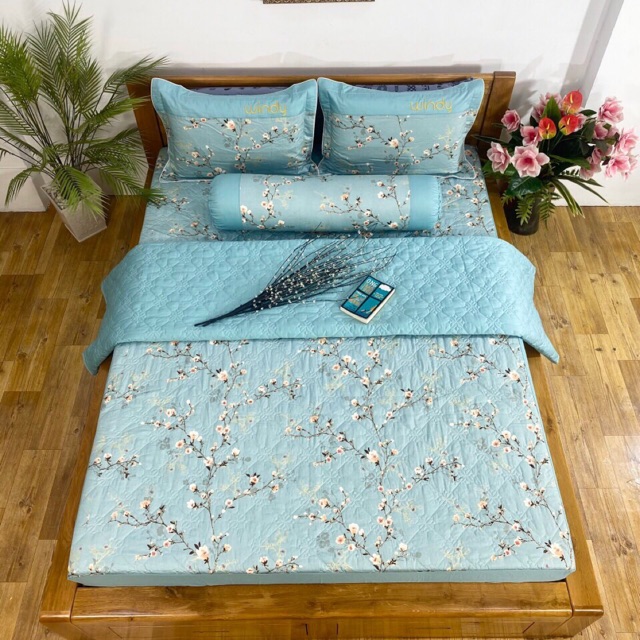 BỘ CHĂN DRAP COTTON SATIN CAO CẤP WINDY MẪU MỚI | Shopee Việt Nam
