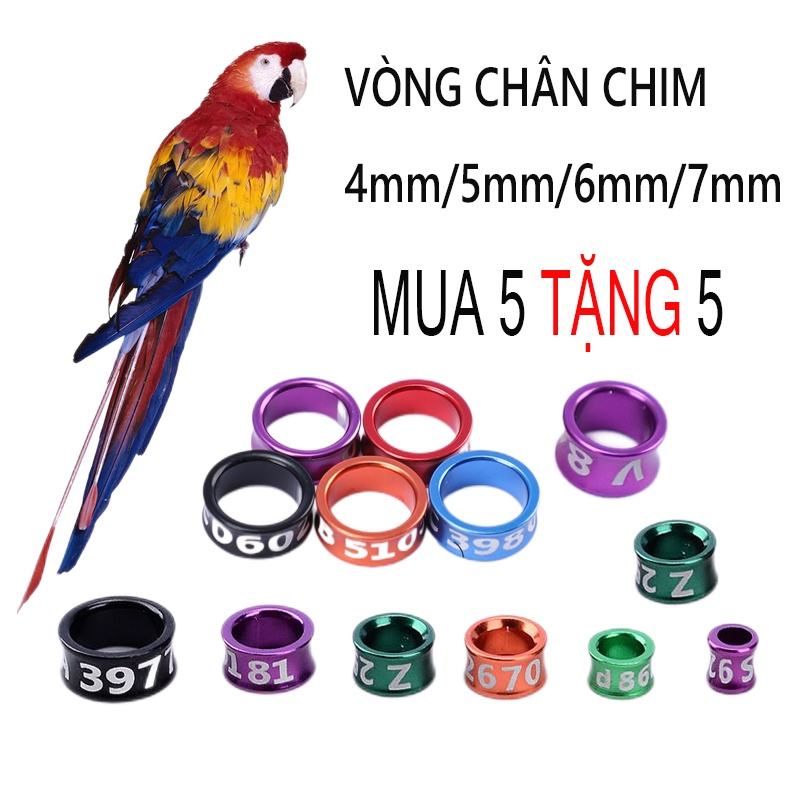 4mm NHẪN ĐEO CHÂN CHIM NHÂN MÀU ĐEO CHÂN VẸT VÒNG CHÂN CHIM KÍN BẰNG ...