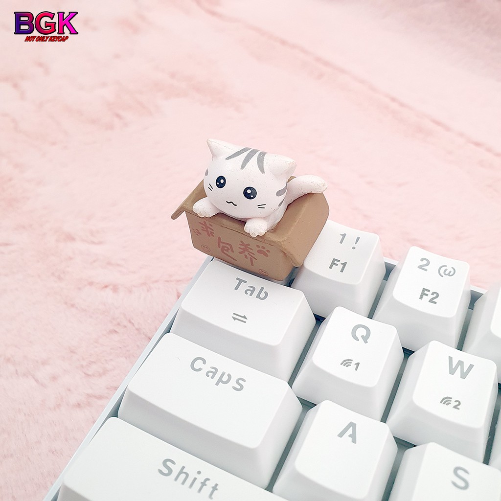 Keycap lẻ hình Mèo Con Trong Hộp siêu dễ thương Keycap Artisan | Shopee ...