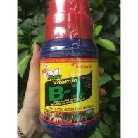 Phân bón Vitamin B1 thái Lan Chai 1000ml - B1 xanh thái | Shopee Việt Nam