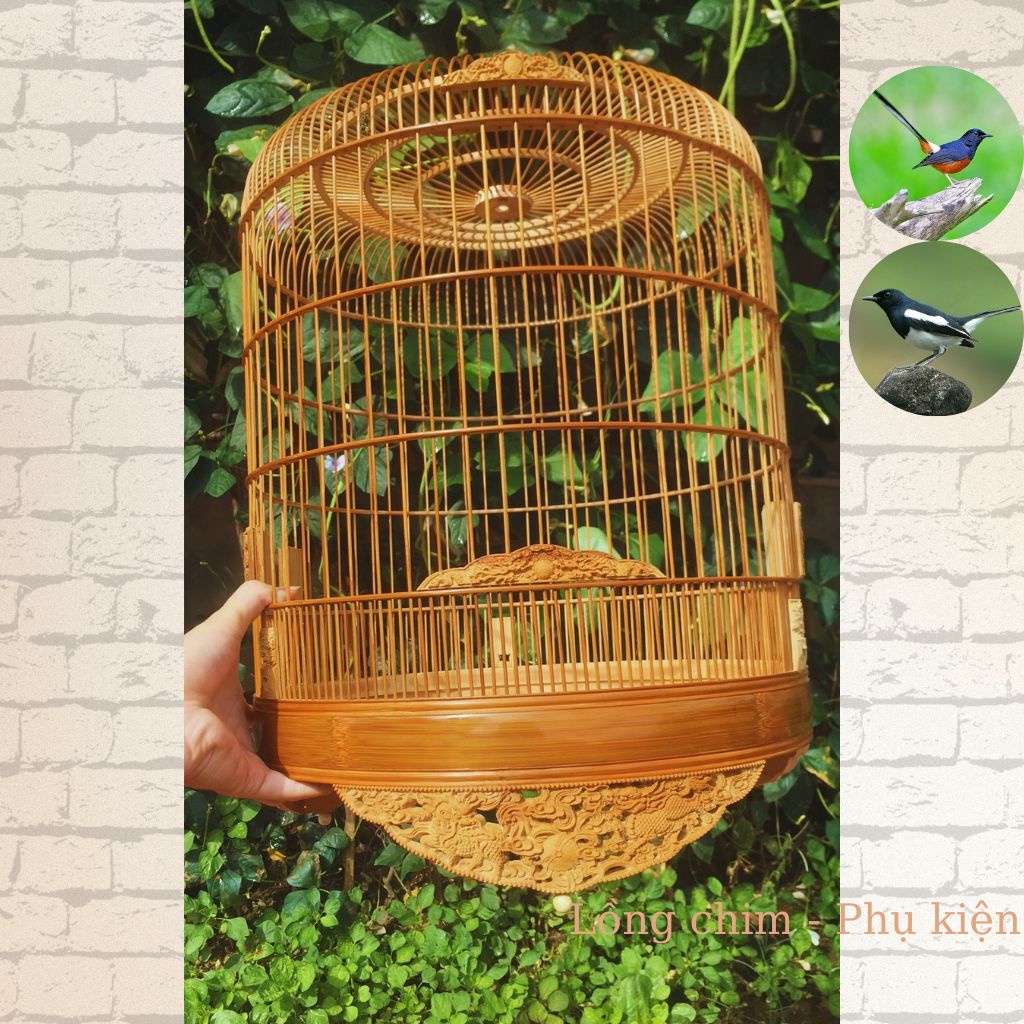Lồng chim Chòe, Lồng chim Chòe than, Chòe lửa ( chim Ác là) chất liệu ...
