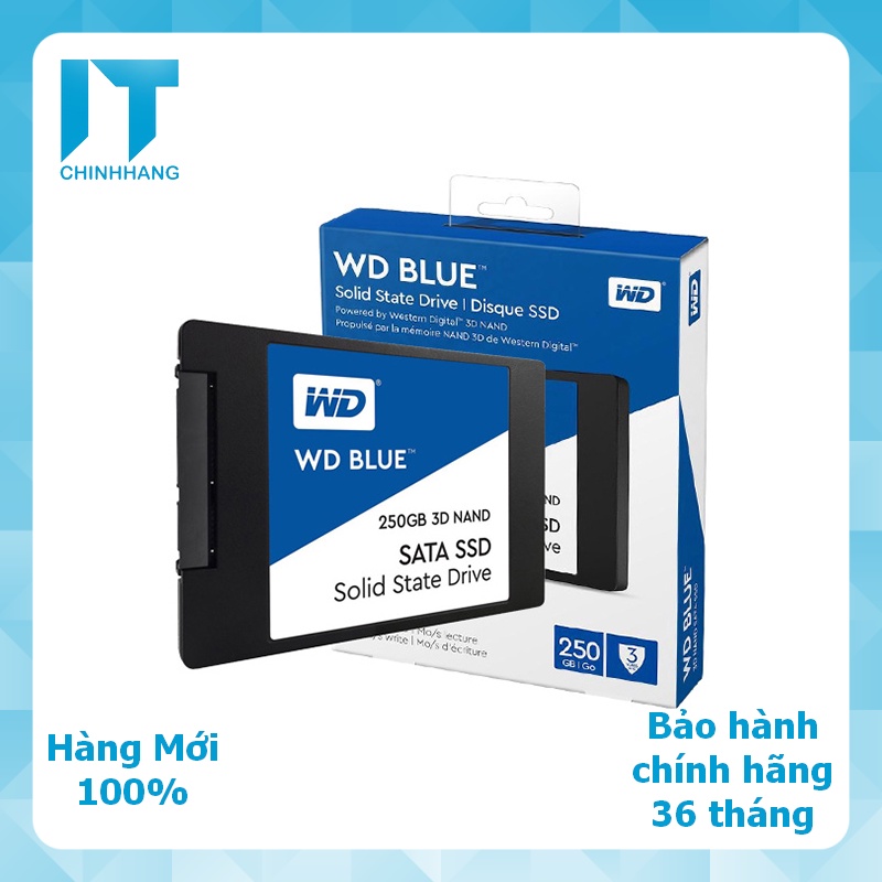 Ổ Cứng SSD WD Blue - SSD Western Digital Blue G3 - 250Gb / 500Gb / 1Tb ...
