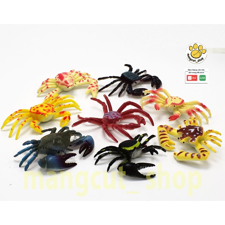 set 8 con cua giả cho bé, mô hình cua mini, đồ chơi động vật biển ...