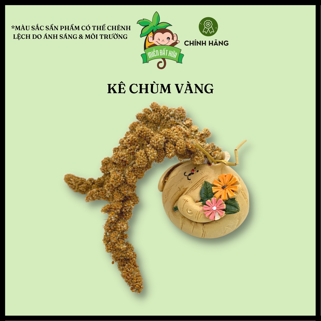 Thức ăn cho hamster - Kê chùm thơm ngon, dinh dưỡng dành cho hamster ...