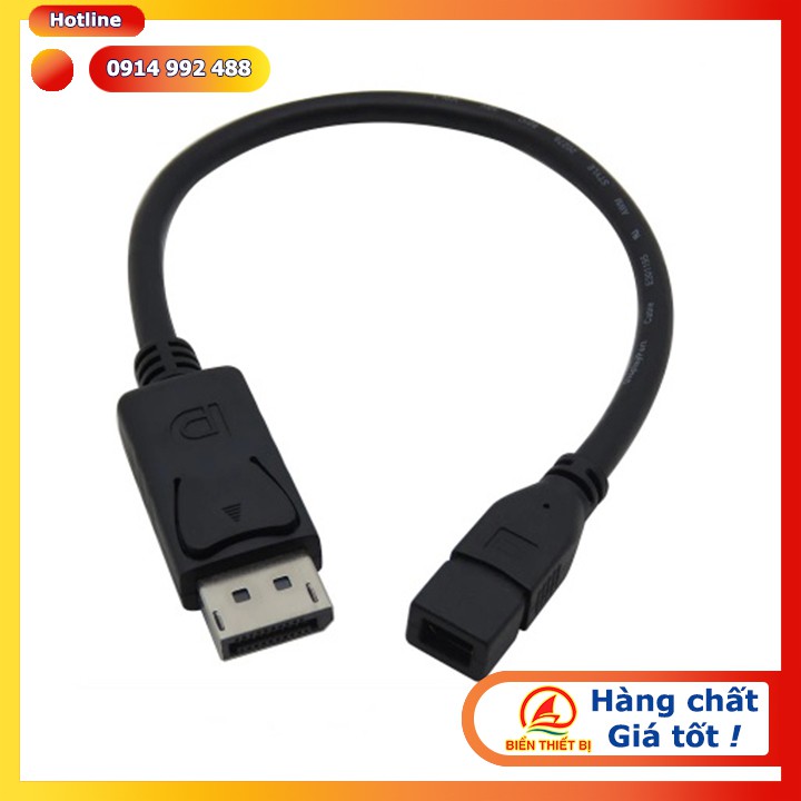 Cáp chuyển đổi DisplayPort sang Mini DisplayPort Female Adaptor (DP ...