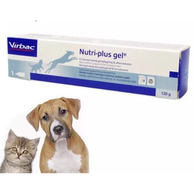 Gel dinh dưỡng nutrigel plus cho chó mèo | Shopee Việt Nam