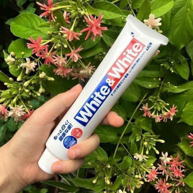 🇯🇵 KEM ĐÁNH RĂNG WHITE AND WHITE LION 150G NỘI ĐỊA NHẬT 🇯🇵 | Shopee ...