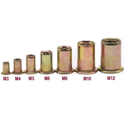 10 Đinh Tán Rút Ren ECU M3 đến M12 | Shopee Việt Nam