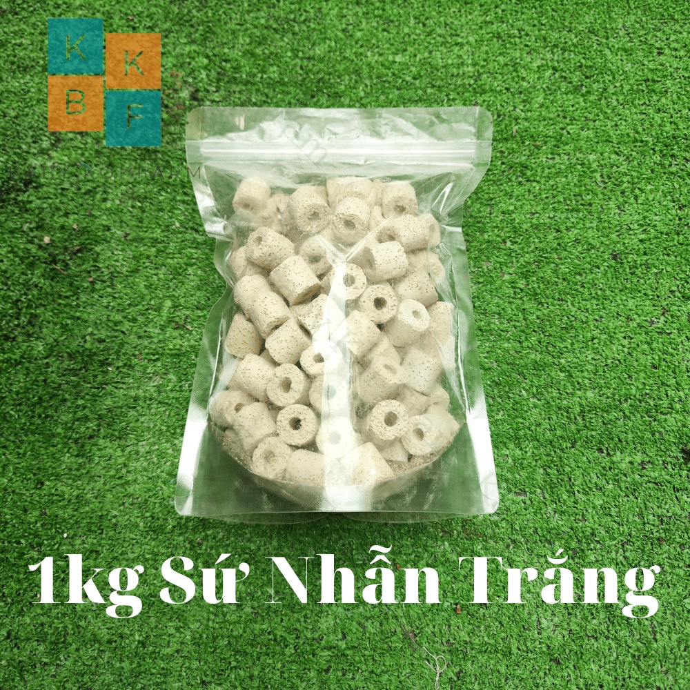 Sứ lọc nhẫn trắng , sứ lỗ lọc nước hồ cá 1kg / 500g | Shopee Việt Nam