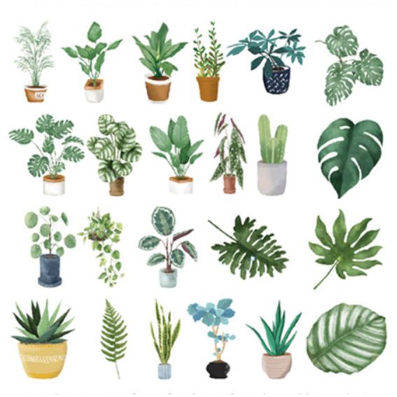 Hộp 46 sticker hình dán cây cối hoa lá trang trí | Shopee Việt Nam
