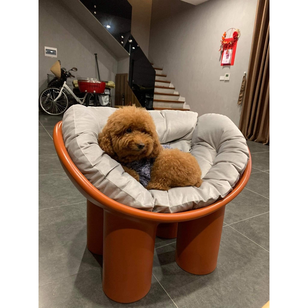 [DECORNHAMO] GHẾ ROLY POLY (GHẾ CHÂN VOI) DECOR STUDIO | Shopee Việt Nam