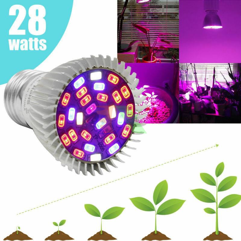 Đèn trồng cây, Đèn led trồng rau trong nhà, Led grow lights (28W, E27) | Shopee Việt Nam