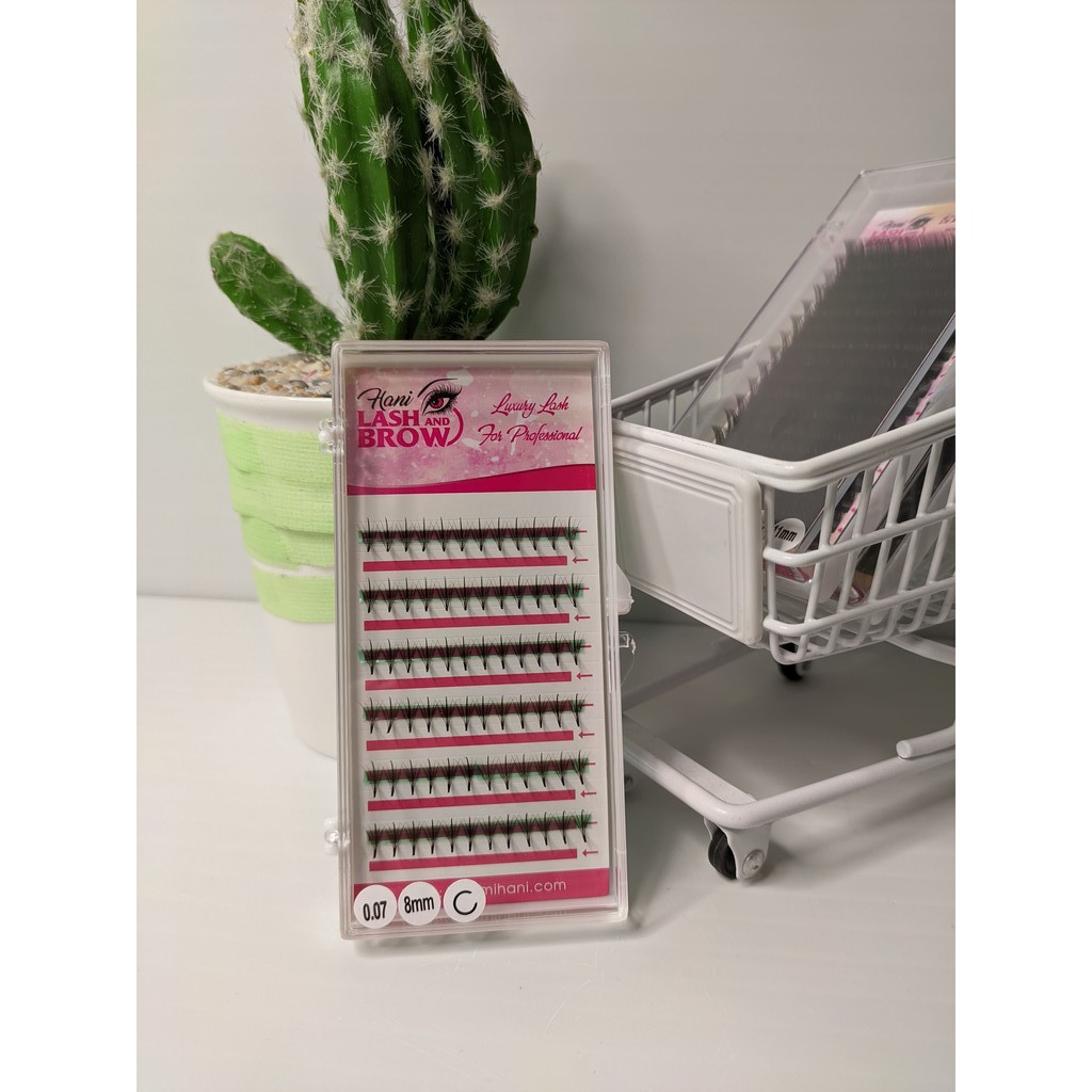 Lông Mi Trụ Katun Cao Cấp - Mi Wispy 5D Độ Cong C D - Mi Fan Sẵn Katun ...