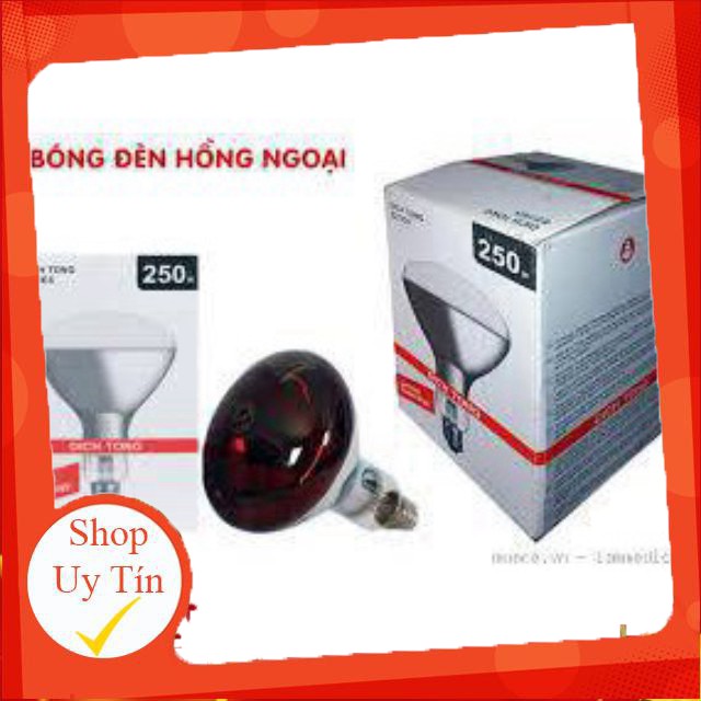 BÓNG ĐÈN HỒNG NGOẠI DỊCH TÔNG E27/ES 250W | Shopee Việt Nam