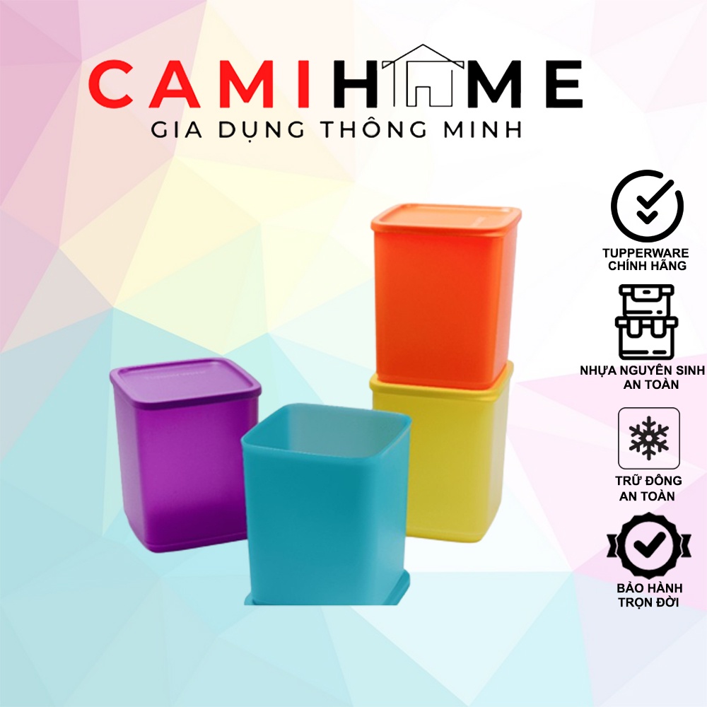 Hộp bảo quản thực phẩm, trữ khô, trữ mát Large Summer Fresh Square ...