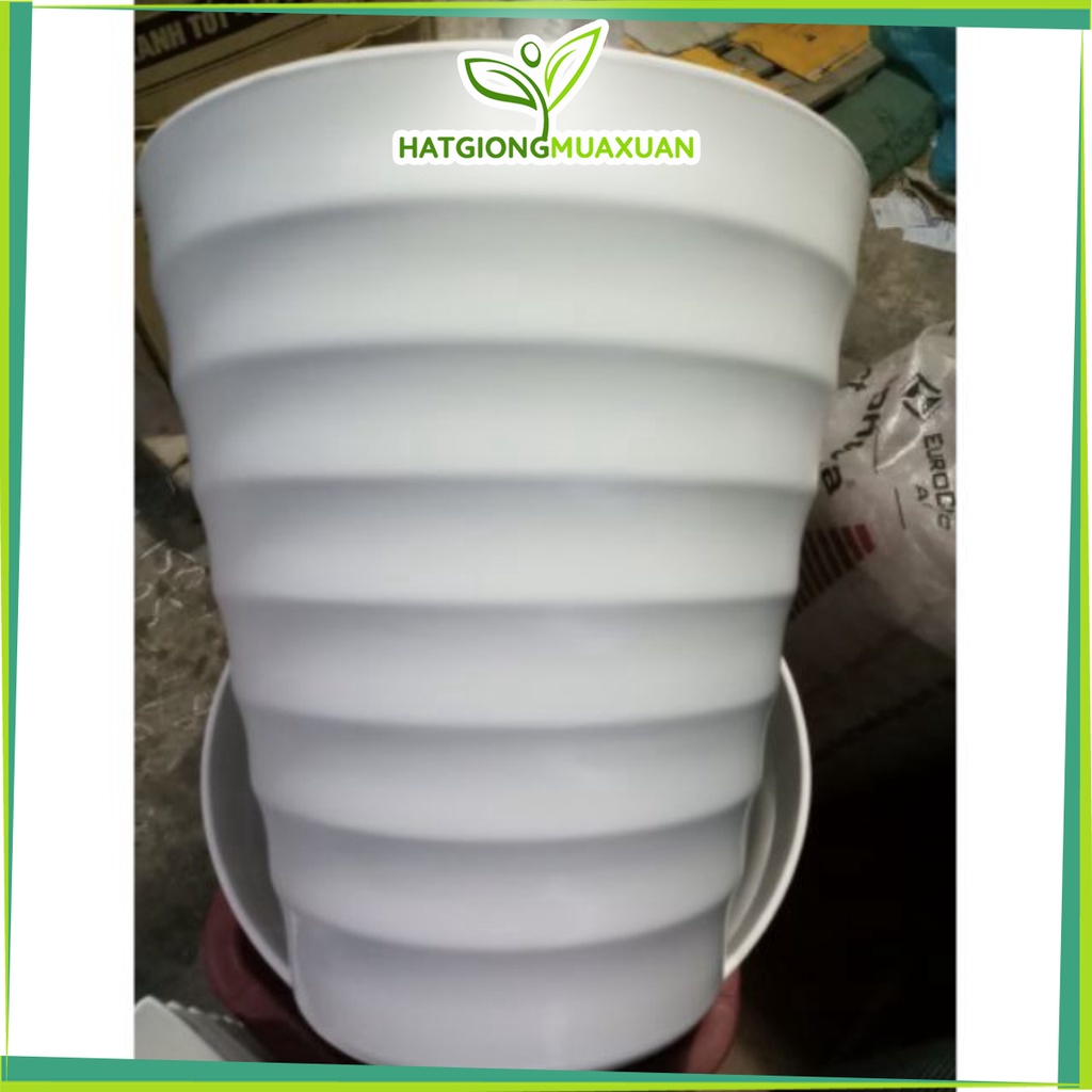 [HOT] CHẬU NHỰA CƠ ĐẠI TRỒNG CÂY 36X32 c/lượng, hg C/ty. | Shopee Việt Nam