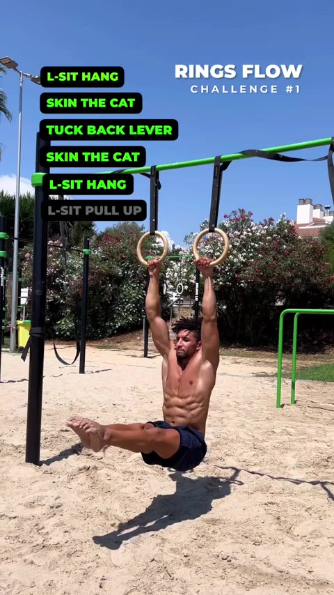 Vòng Treo Gymnastic Rings Hỗ Trợ Tập Dip Với Xà Đơn, GYM Ring Ngoài ...