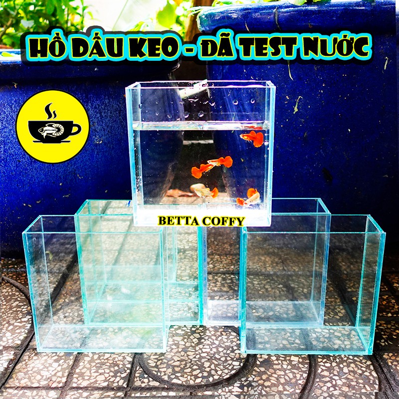 Bể Cá bằng kính mini - Hồ cá Betta (Dấu keo - Keo Đen Trắng) | Shopee ...